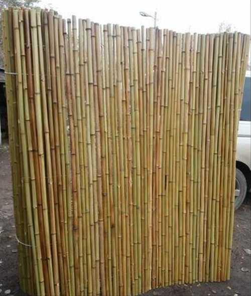 Забор из бамбука 2х2м