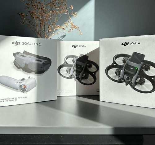 DJI Avata Pro View Combo RC Motion