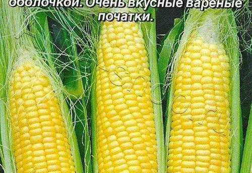Рассада кукурузы