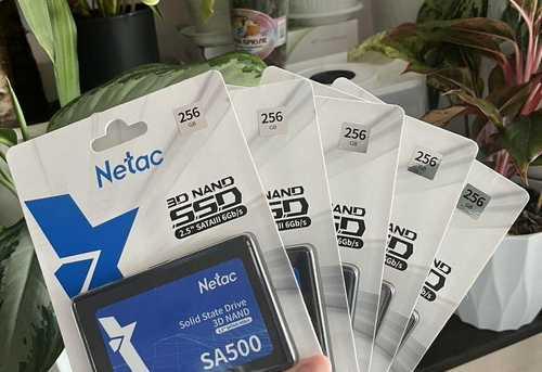 SSD накопитель Netac SA500 2.5" 256 гб