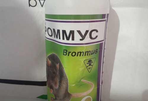 Отрава для крыс,мышей Бромед,Бромус