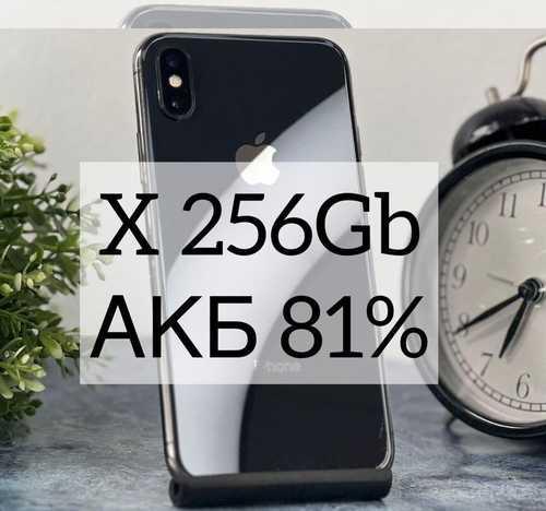 iPhone X, 256 ГБ