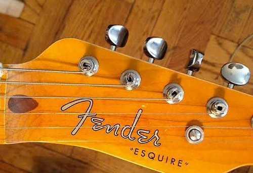 Декаль Fender Esquire 1952-1955. Авито Доставка