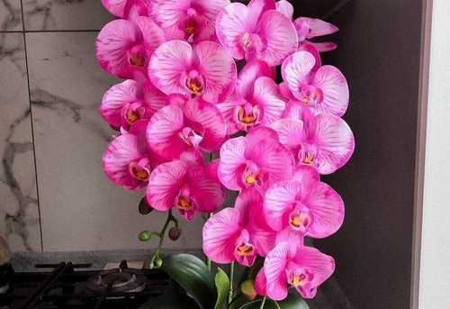 Орхидеи из латекса