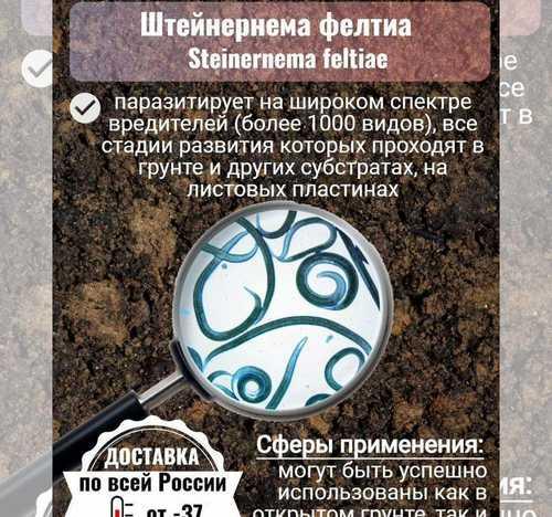 Хищная Нематода Штернернема Фелтия от вредителей