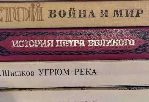 История Петра Великого,Ремарк,Толстой, современные