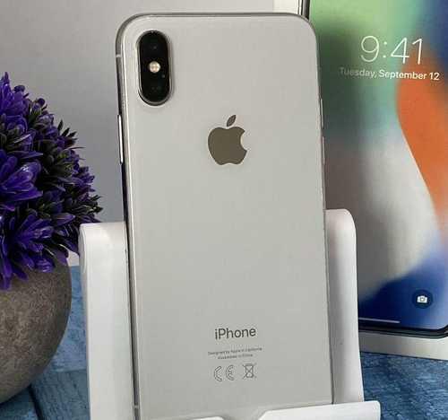 iPhone X, 256 ГБ