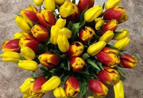 Тюльпаны на 8 марта оптом