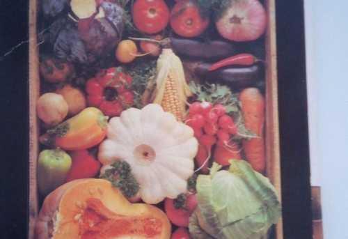 Набор открыток На вашем столе овощи