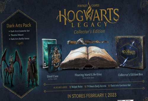 Hogwarts Legacy для Вашей PS4/5 z-9290
