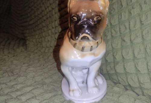Фарфоровая статуэтка Собака Бульдог