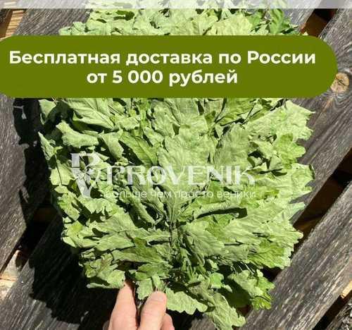 Веники для бани опт и розница