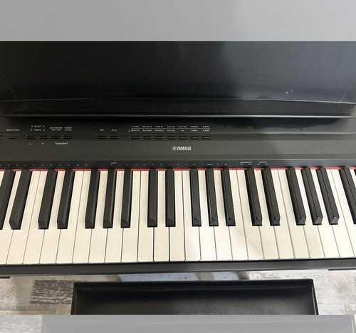 Цифровое пианино yamaha p 115