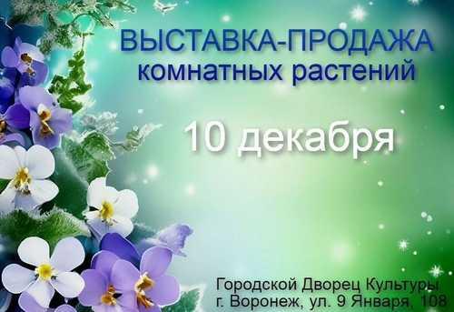 Выставка-продажа комнатных растений 10 декабря