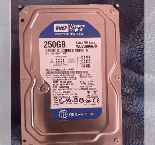 Жесткий диск western digital 250 гб