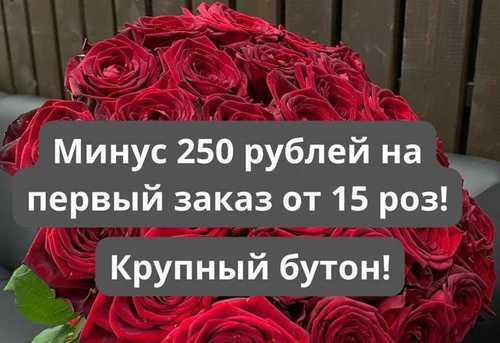 Красные розы букет из 35 штук