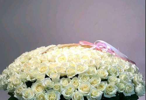 101 роза, белые розы. Букет роз, цветы Самара