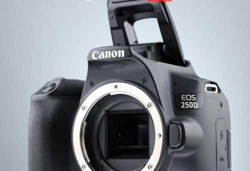 Canon EOS 250D body Black (id-03240519)