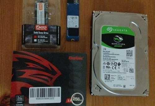 SSD 256Gb M2, SATA; HDD Seagate 1000Gb