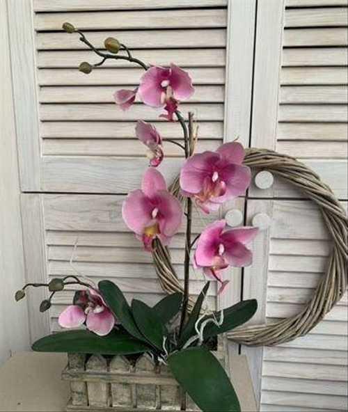 Рамка Орхидея декор для дома