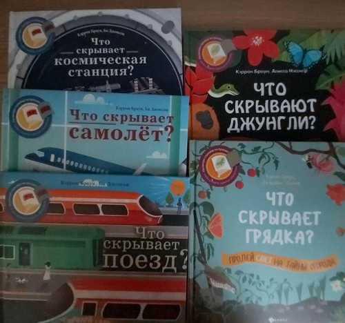 Серия книг "Читаем с фонариком" Кэррон Браун