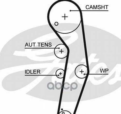 120x30 HSN Ремень грм audi A2 1.4TD 00, A3 1.9TD