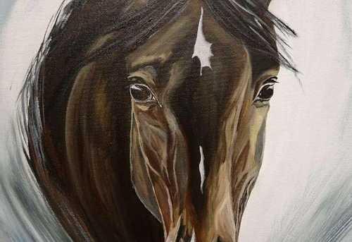 Картина "Конь" масло холст 50x60