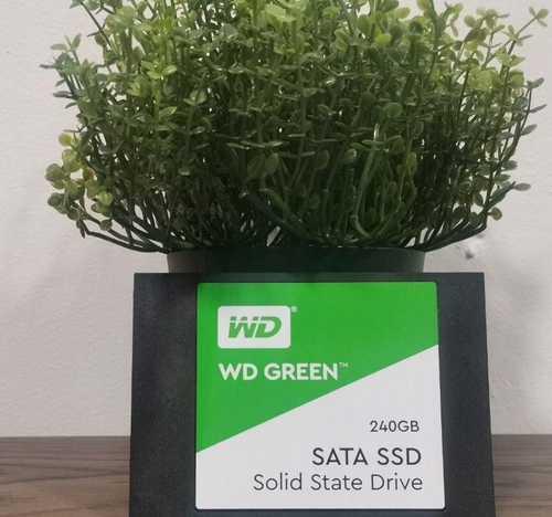 Жёсткий диск SSD WD 240gb