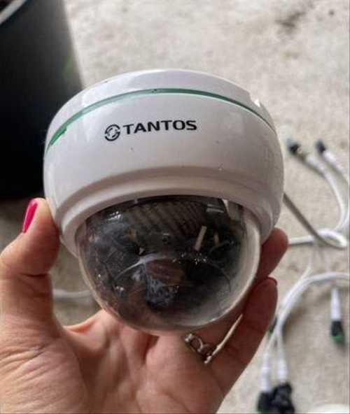 Камера видеонаблюдения купольная Tantos