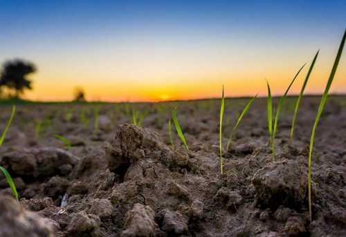 Чернозем Торфогрунт Земля для Сада, Огорода арт215