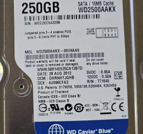 Жёсткий диск Western Digital 250gb