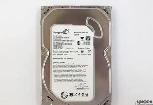 3.5 SATA HDD 250GB Seagate ST3250318AS