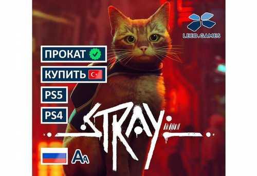 Stray Прокат PS5 PS4 Аренда Купить