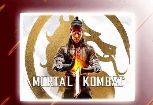 Mortal Kombat 1/11 на PS5/PS4 qd-1824