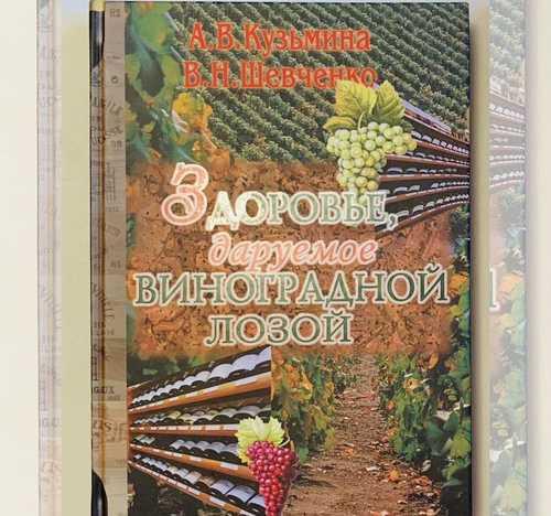 А.В.Кузьмина: Здоровье даруемое виноградной лозой