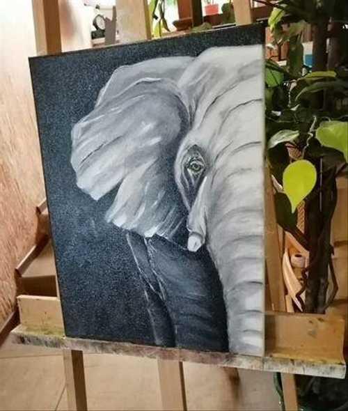 Картина Слон