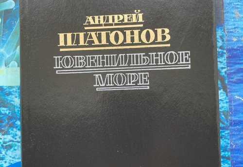 Книга Андрей Платонов