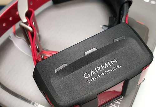 Garmin alpha astro