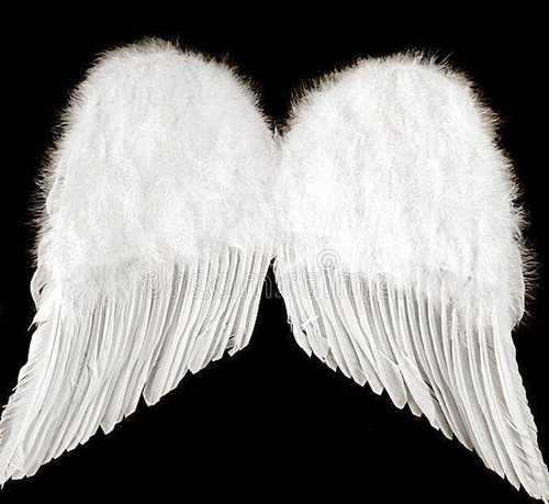 Крылья перьевые белые карнавальные размер 60*50 см