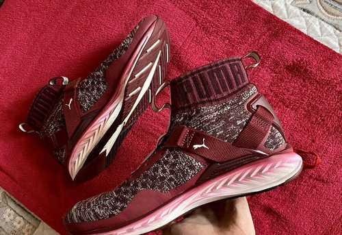 Кроссовки Puma Ignite Evoknit беговые