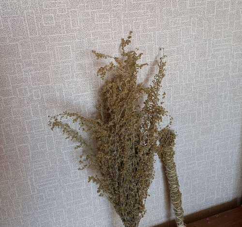 Полынь скрутки