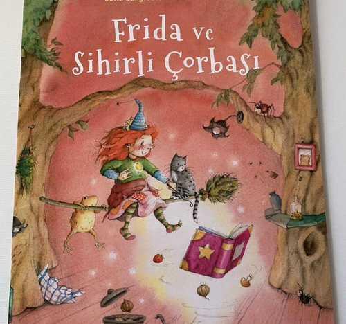 Книга Frida ve sihirli çorbas