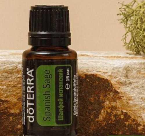 Испанский шалфей / Spanish Sage / 15 мл / DoTerra