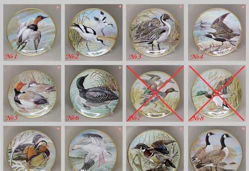 Набор тарелок Limoges Водоплавающие птицы мира