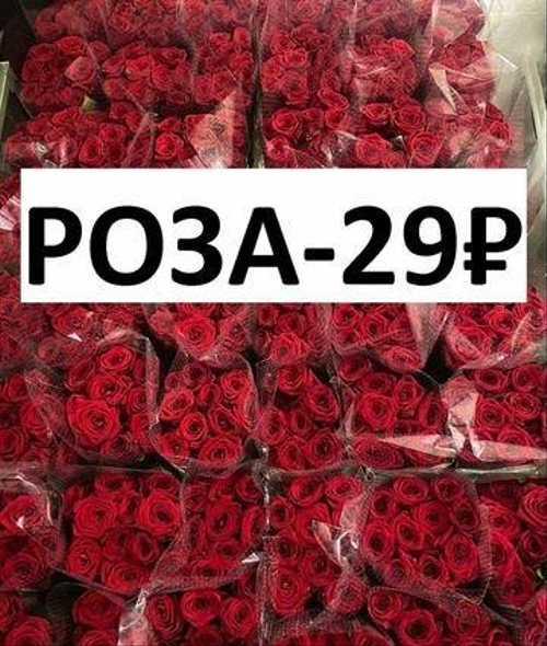 Цветы розы оптом - 29р. Цена реальная