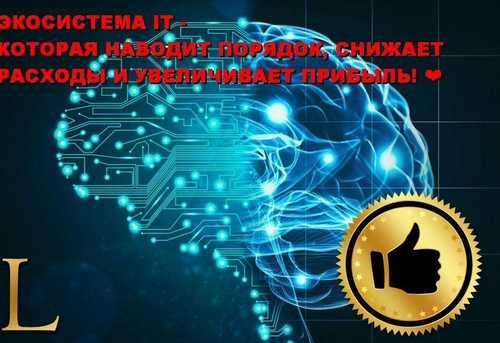 IT платформа для бизнеса. Арт. s-9003