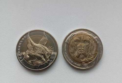 Монеты Турции 1 куруш