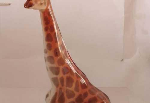 Статуэтка фарфоровая жираф