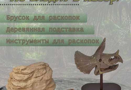 Раскопки для детей. Череп динозавра "Трицератопс"