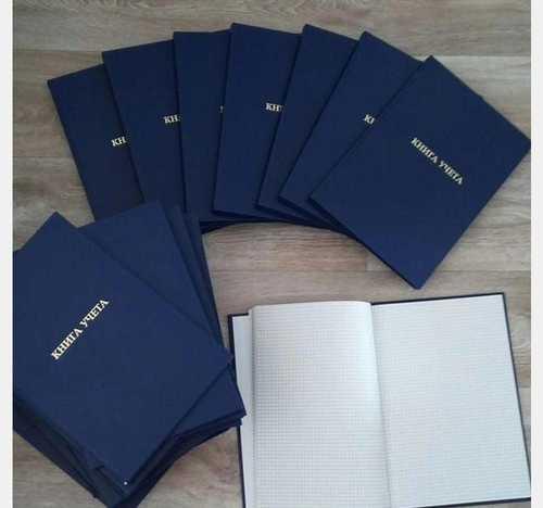 Книга учёта Ежедневник